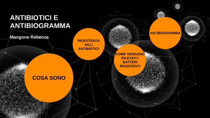 Antibiotico e antibiogramma by Rebecca Mangone on Prezi