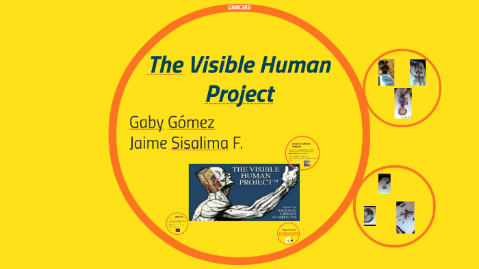 The Visible Human Project by Jaime Patricio Sisalima Flores on Prezi