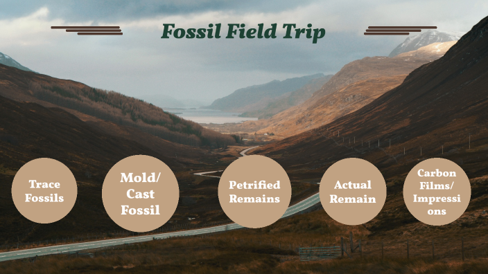 Fossils Virtual Field Trip (Assignment) by Keith Mosley on Prezi