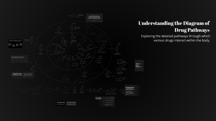 Understanding the Diagram of Drug Pathways by suela cobani on Prezi