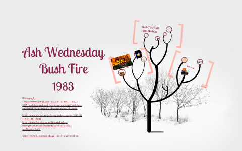 Ash Wednesday Bushfire - geography by Emily Smith on Prezi