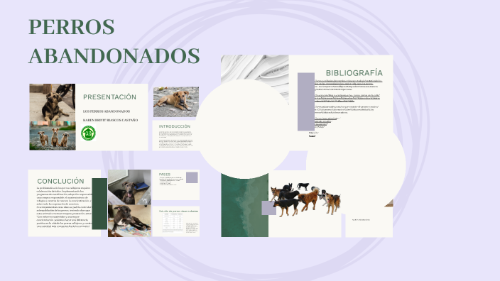 Los Perritos Abandonados by Karen Riascos on Prezi