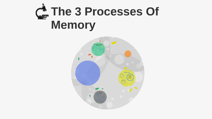 The 3 Processes Of Memory by Kai Faulkner on Prezi