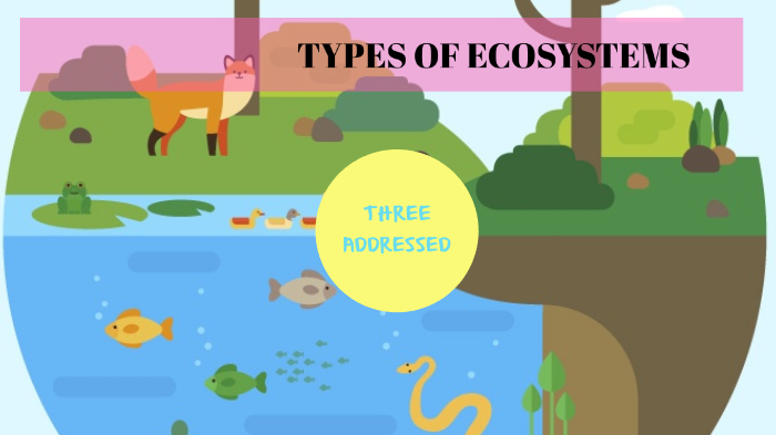 TYPES OF ECOSYSTEMS by Pao Villalobos on Prezi