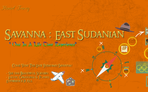Biomes : Savanna by haniel tracey on Prezi