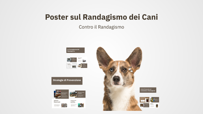 Poster sul Randagismo dei Cani by raffaele cariano on Prezi