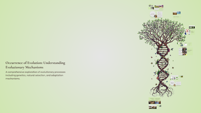 Occurrence of Evolution: Understanding Evolutionary Mechanisms by ...