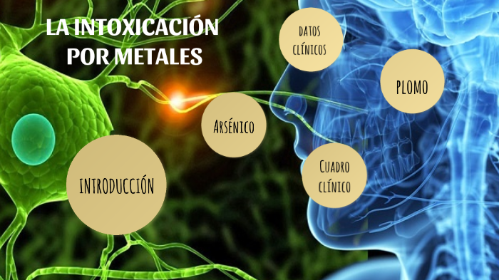 La toxicidad de los metales 2 by rocio gamez on Prezi