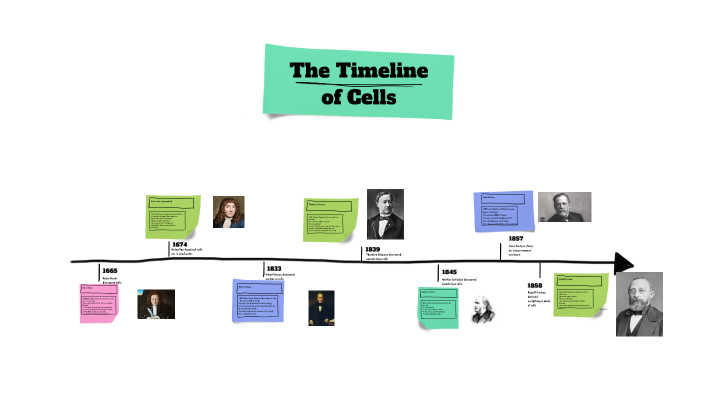 The Timeline of Cells by Harshini Dhandapani on Prezi