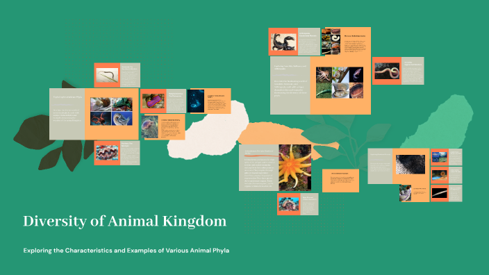 Diversity of Animal Kingdom by Celine Elsa Sabu on Prezi