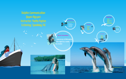 Dolphin Communication by Quyen Nguyen on Prezi
