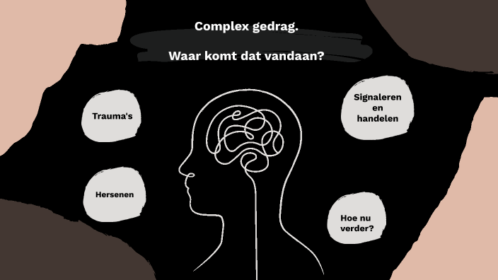 Passend handelen bij complex gedrag by Chantal Vijn on Prezi