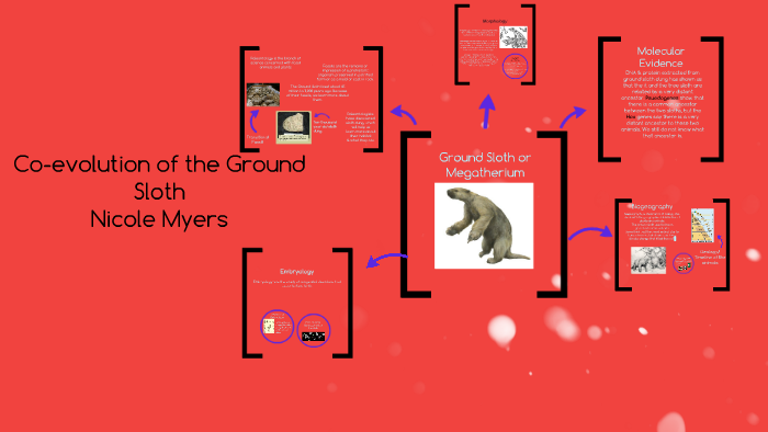 Evolution of Ground Sloth by Nicole Myers on Prezi