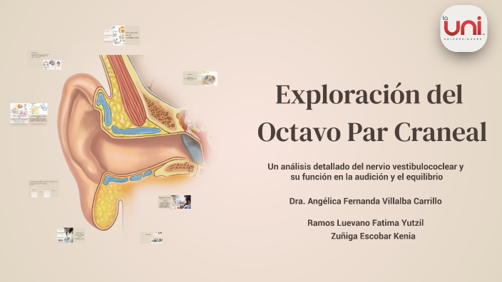 Exploración del Octavo Par Craneal by Fatima Ramos on Prezi