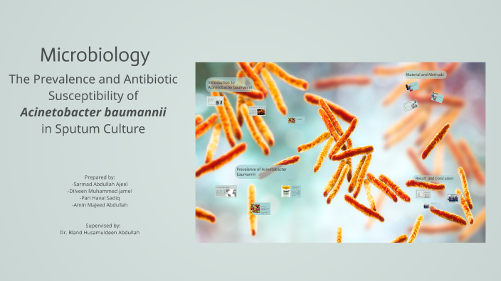 The Prevalence and antibiotic susceptibility of Acinetobacter baumannii ...