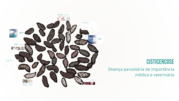 Cisticercose by RIKELMY ANDRADE GOUVEIA on Prezi