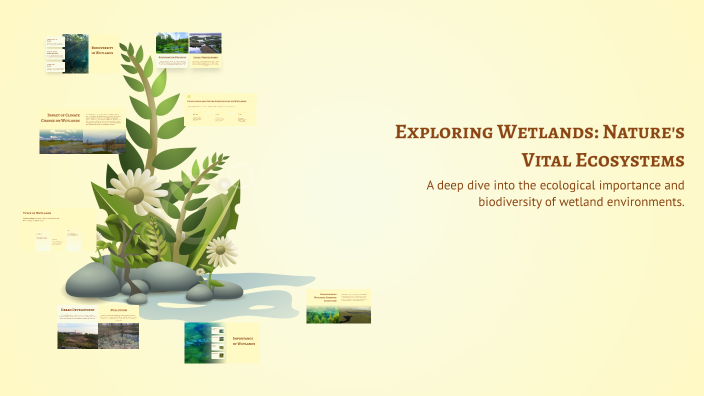Exploring Wetlands: Nature's Vital Ecosystems by destiny vessel on Prezi