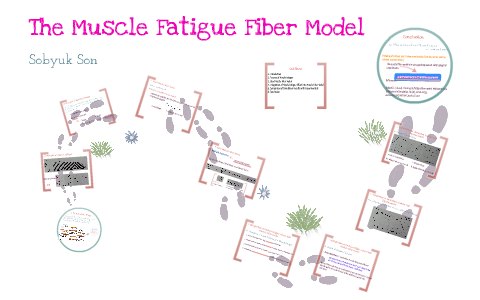 The Muscle Fatigue Fiber Model by Sobyuk Son on Prezi