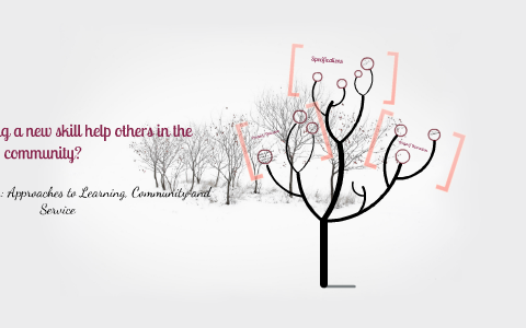 Personal Project- Criteria B by Anuja Chowdhury on Prezi