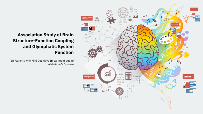 Association Study of Brain Structure-Function Coupling and Glymphatic System Function by Ahoo ...