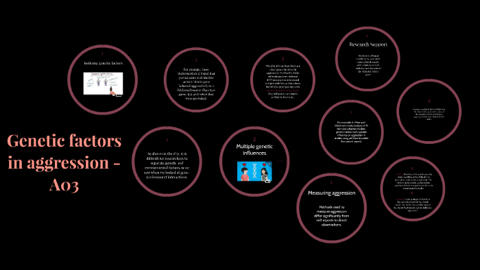 Genetic factors in aggression - A03 by Lily Do on Prezi