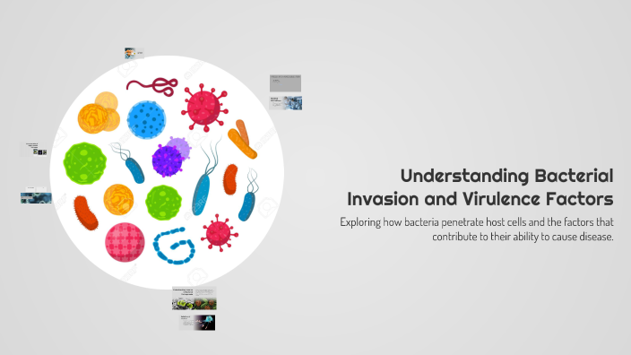 Understanding Bacterial Invasion and Virulence Factors by catherine ...