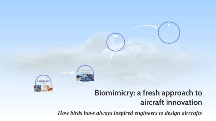 Biomimicry Example in Daily Life : Air Crafts by Antoine Cadel on Prezi