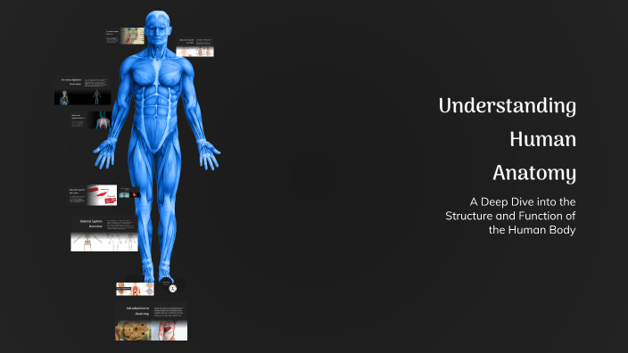 Understanding Human Anatomy by Κυριακή-Χρυσάνθη Π-Π on Prezi