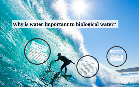 Why is water important to biological water by Stephen Hunt on Prezi