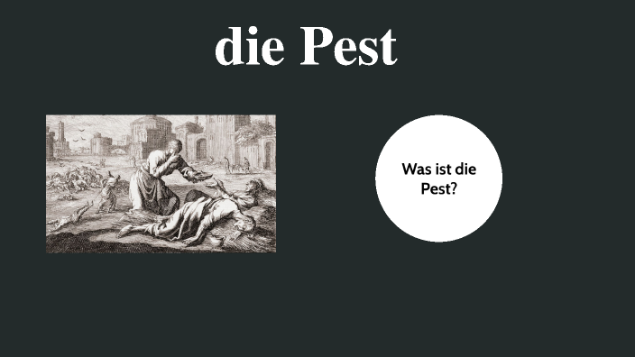die Pest by Anina Marti on Prezi