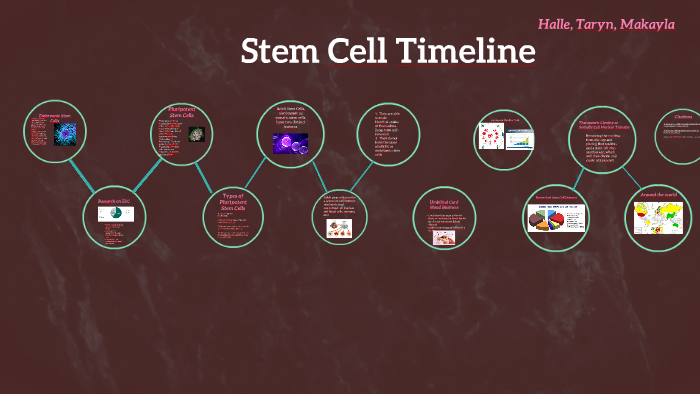 Stem Cell Timeline by Taryn Maloy on Prezi