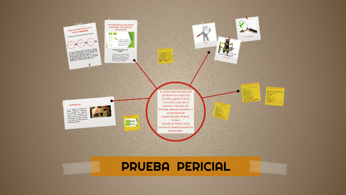 PRUEBA PERICIAL by Diana Martinez on Prezi