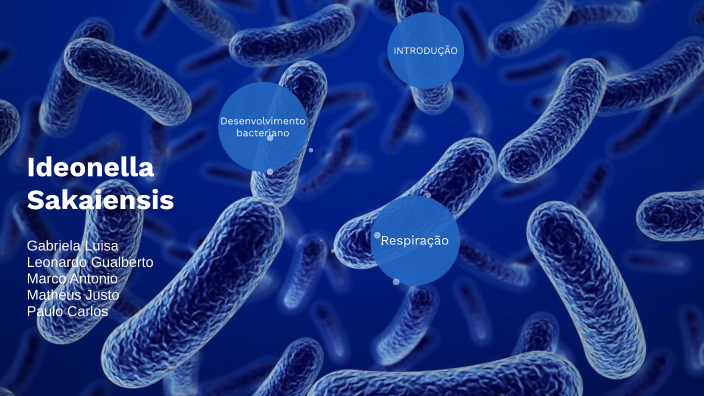 Ideonella Sakaiensis by Matheus Justo on Prezi
