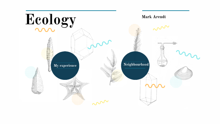 Ecology by Mark Arendt on Prezi