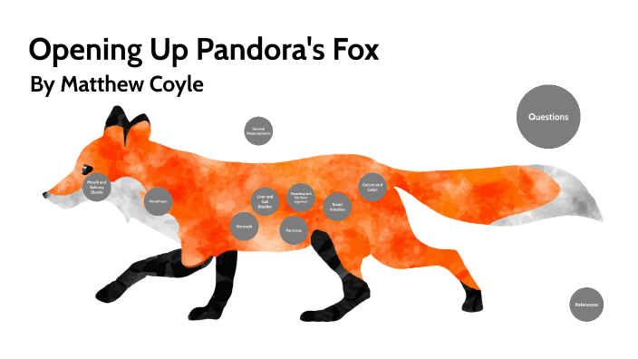 Red Fox Dissection by Matt Coyle on Prezi