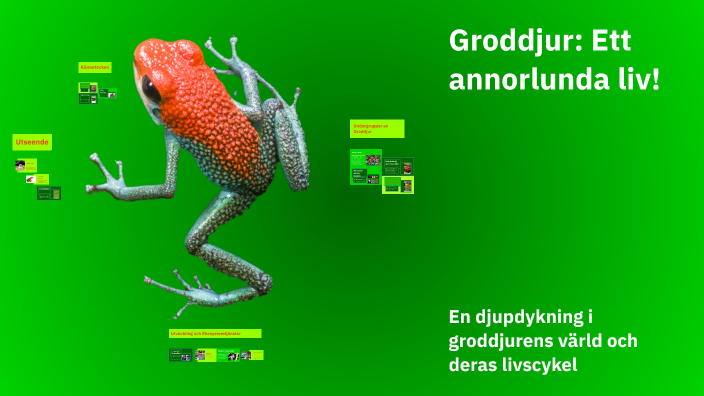 Groddjur: Ett annorlunda liv! by Maxi Lindberg on Prezi