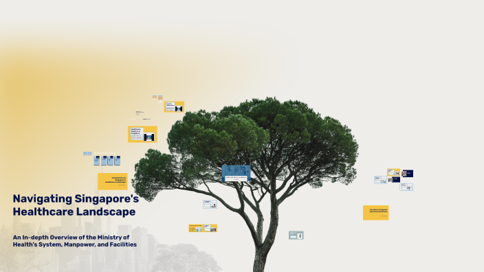 Navigating Singapore's Healthcare Landscape by Barakathunnisa Osman ...
