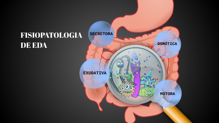 FISIOPATOLOGIA DE EDA by Pamela Medina on Prezi
