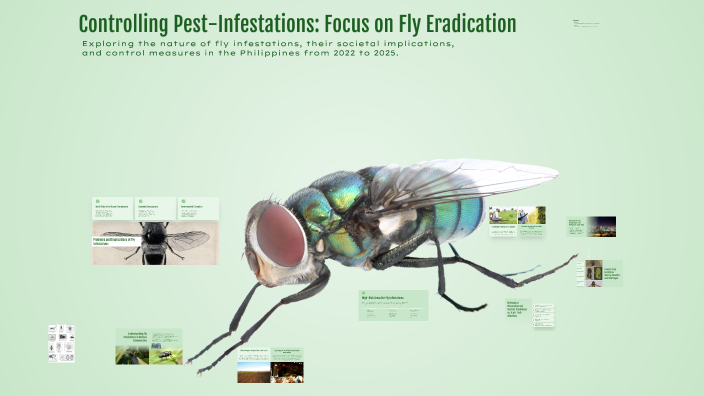 Controlling Pest-Infestations: Focus on Fly Infestations by Precious ...