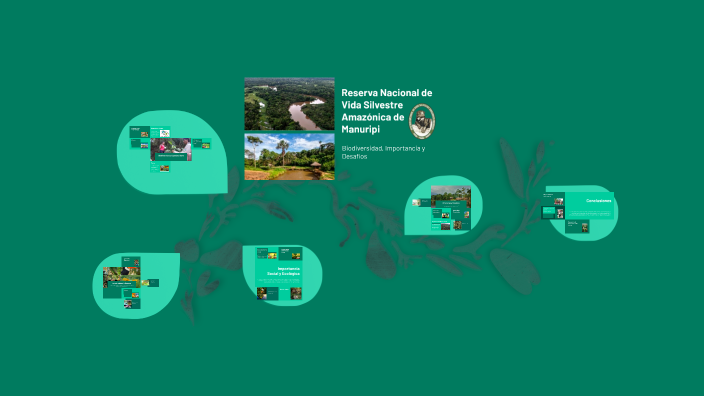 Reserva Nacional de Vida Silvestre Amazónica de Manuripi by Catarina ...