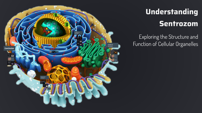 Understanding Sentrozom by Melih Etirli on Prezi