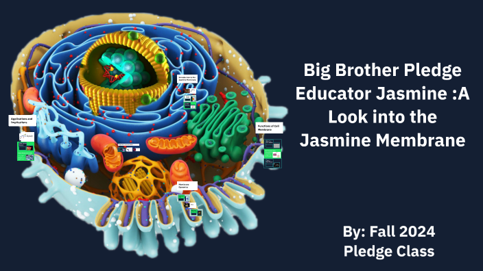 Big Brother Pledge by Asha H on Prezi