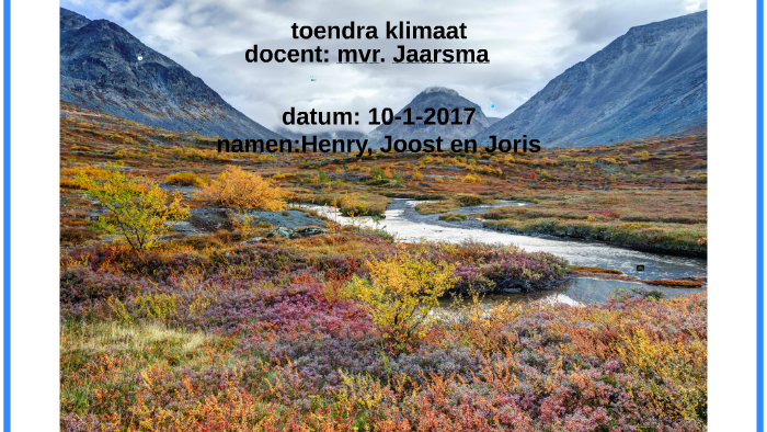 Toendra klimaat presentatie M&M by Henry de Vries on Prezi