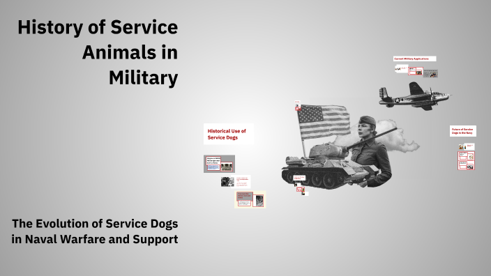 History of Service Animals in Military by brooklyn drecksel on Prezi