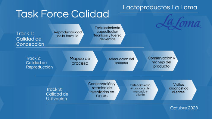 Task Force Calidad by Berenice Solano on Prezi