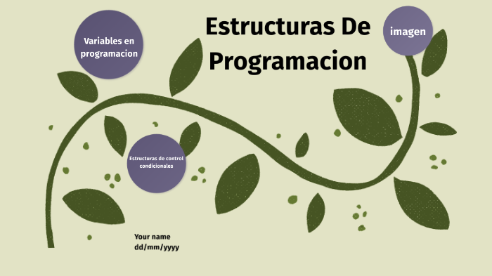 Estructuras de programación by elena dubon videa on Prezi