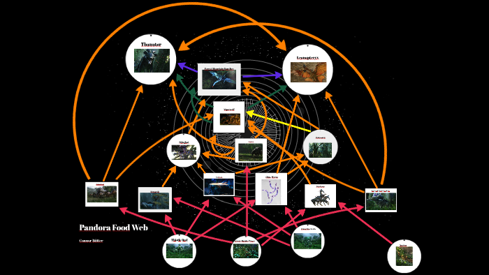 Pandora Food Web by Connor Bitter on Prezi