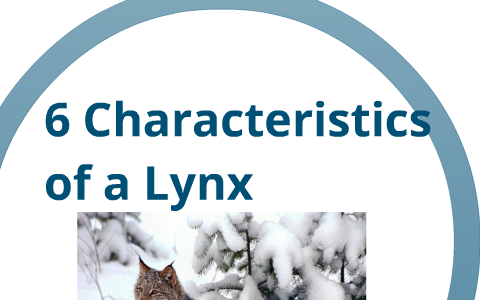 6 Characteristics and 4 Bare Necssities of a Lynx by Megan Loves1D on Prezi