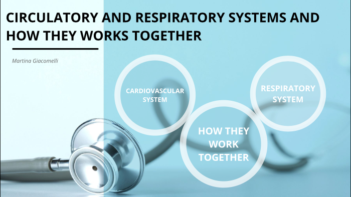 circulatory and respiratory systems and how they work together by ...