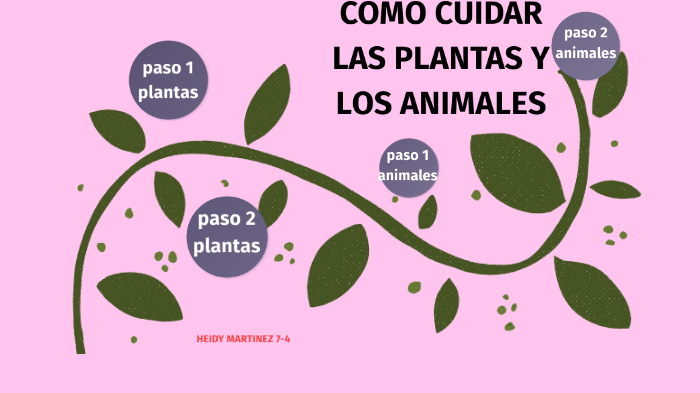 COMO CUIDAR LAS PLANTAS Y LOS ANIMALES by heidy martinez on Prezi